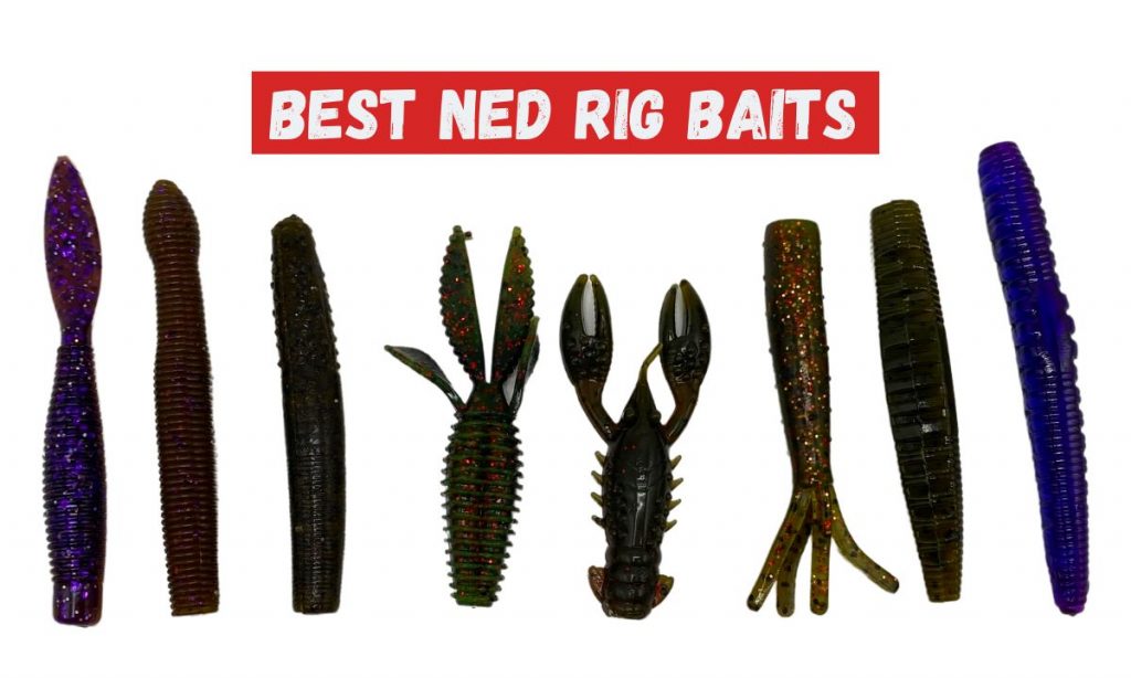 Best Ned Rig Baits & Colors
