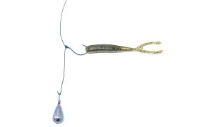 How to Rig & Fish a Drop Shot