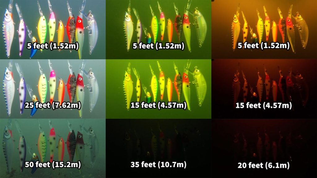 How To Choose The Right Lure Color