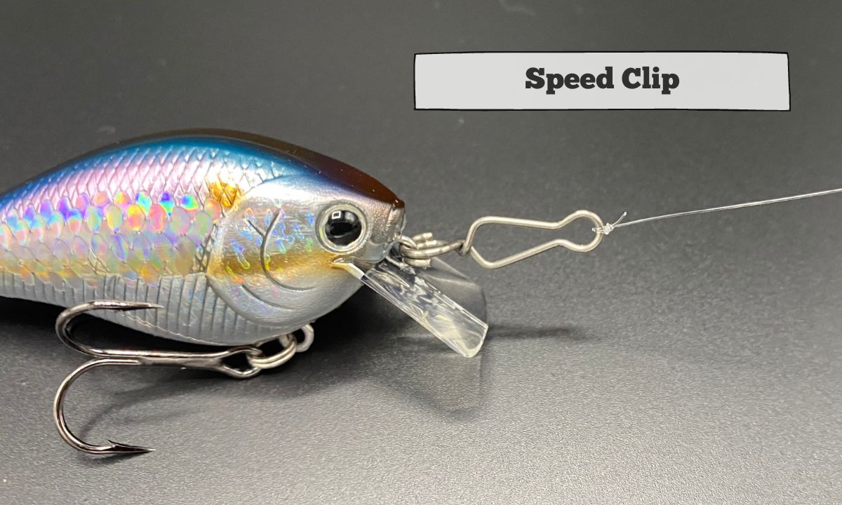Fishing Snaps & Clips - Good or Bad, Do They Catch Less Fish?