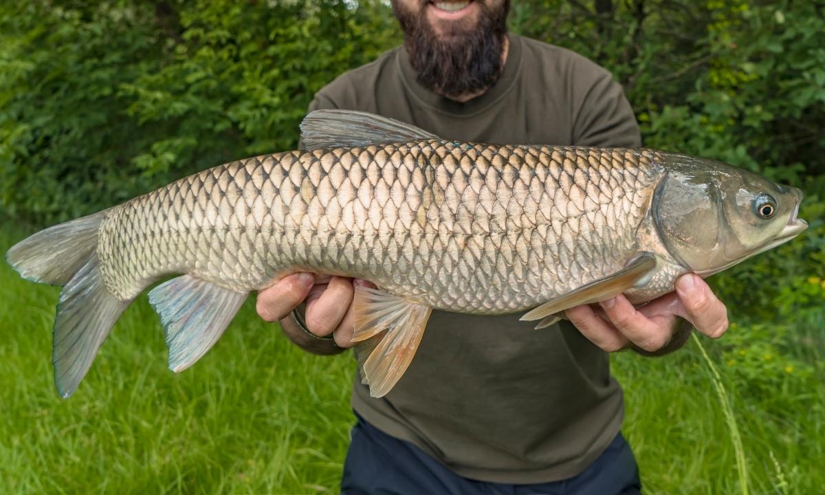 Tennessee Fishing | Everything You Need to Know